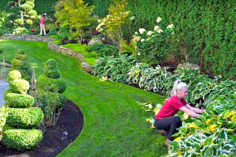 Gallery - Creative Roots Landscaping
